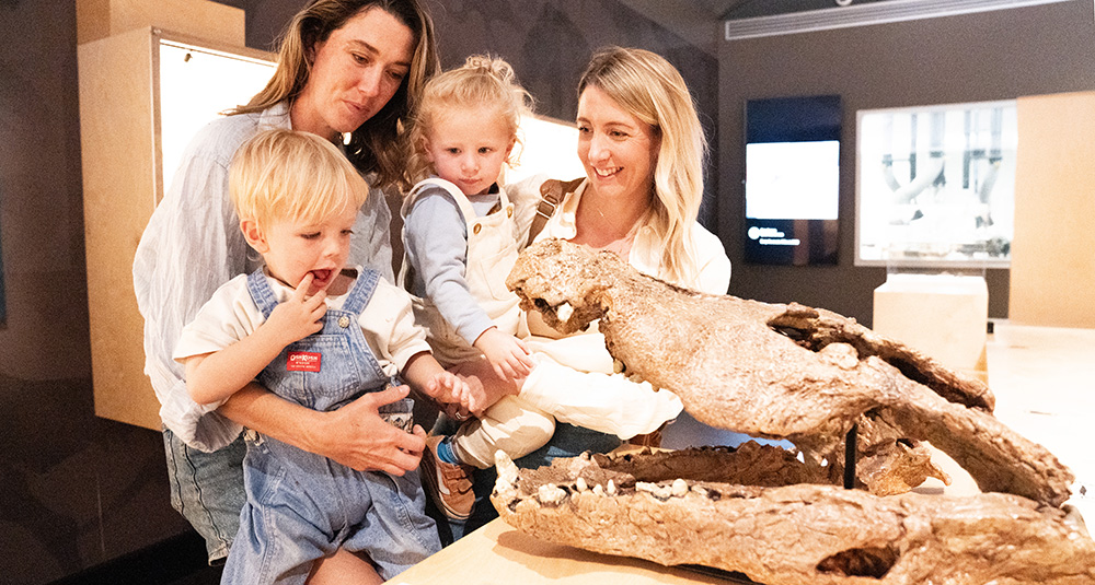 Family Friendly Activities | Join the Territory